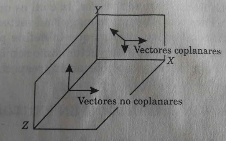 Cantidades escalares y cantidades vectoriales. Física. – Herramientas ...